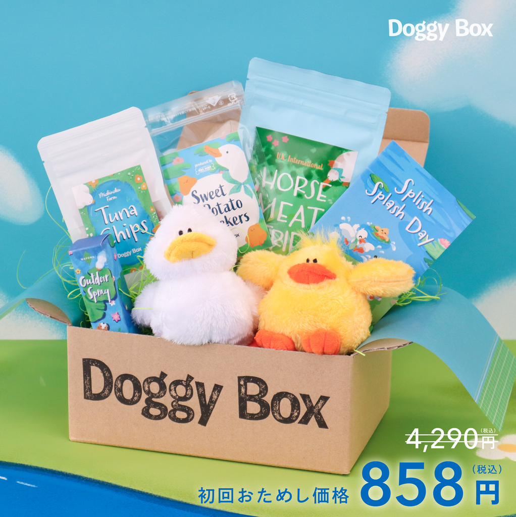 小型犬用Box – Doggy Box